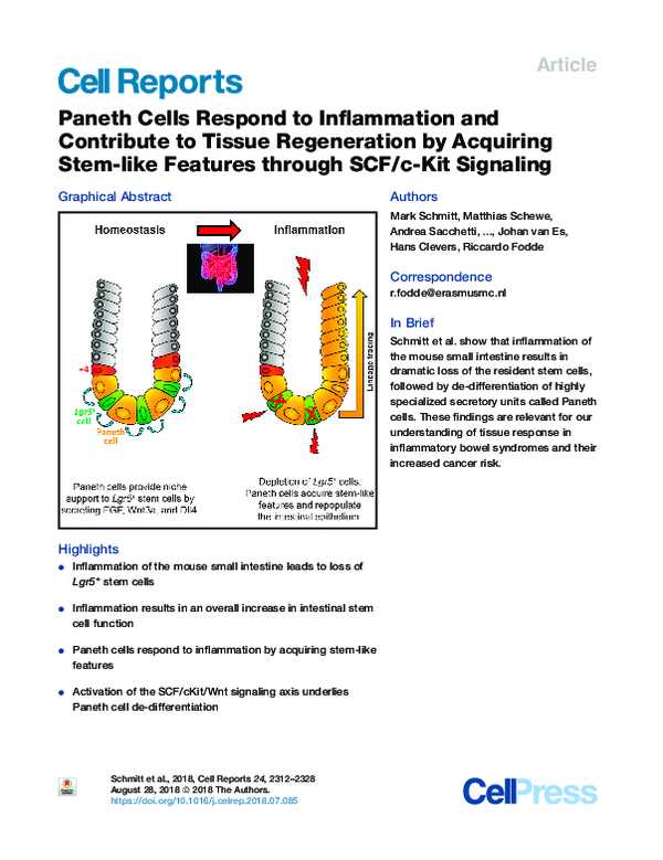 (PDF) Paneth Cells Respond to Inflammation and Contribute to Tissue ...