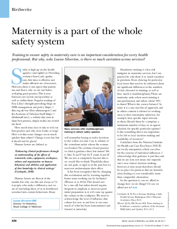 (PDF) Maternity is a part of the whole safety system