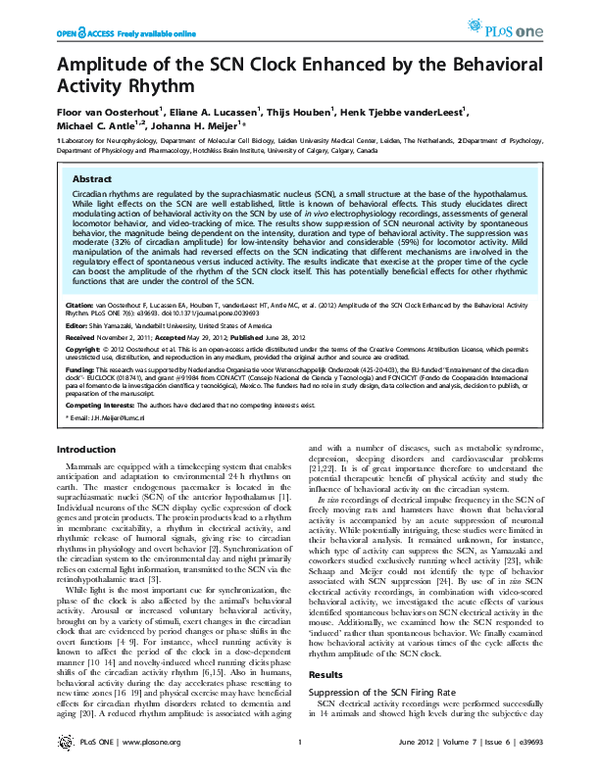 (PDF) Amplitude of the SCN Clock Enhanced by the Behavioral Activity Rhythm