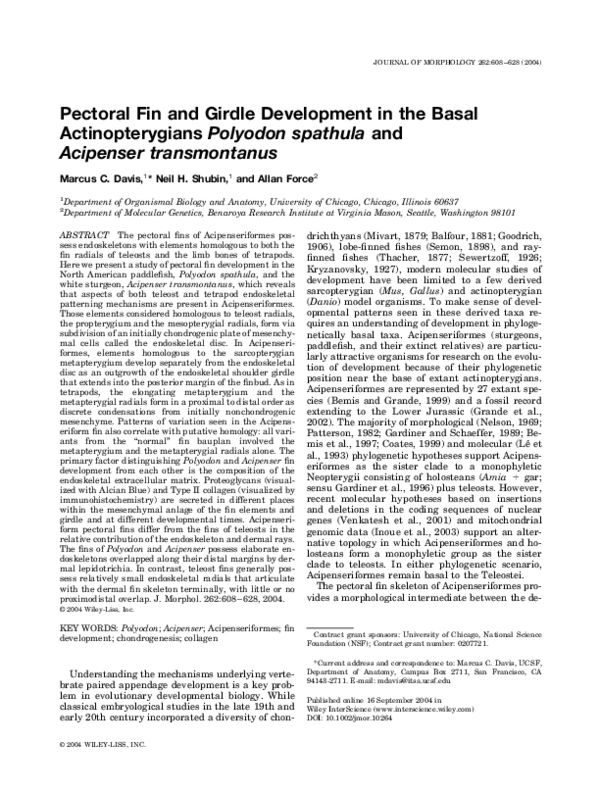 (PDF) Pectoral fin and girdle development in the basal ...