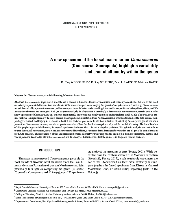(PDF) A new specimen of the basal macronarian Camarasaurus (Dinosauria ...