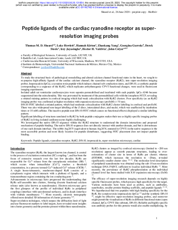(PDF) Peptide ligands of the cardiac ryanodine receptor as super ...