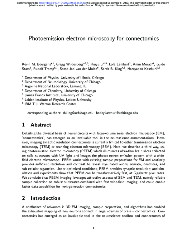 (PDF) Photoemission electron microscopy for connectomics | Bobby ...