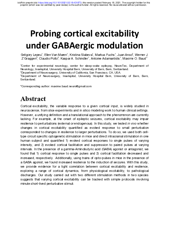 Pdf Probing Cortical Excitability Under Gabaergic Modulation Kaspar Schindler
