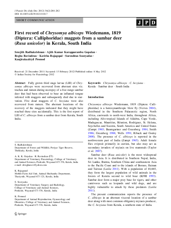 (PDF) First record of Chrysomya albiceps Wiedemann, 1819 (Diptera ...