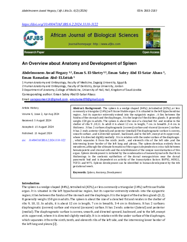(PDF) An Overview about Anatomy and Development of Spleen