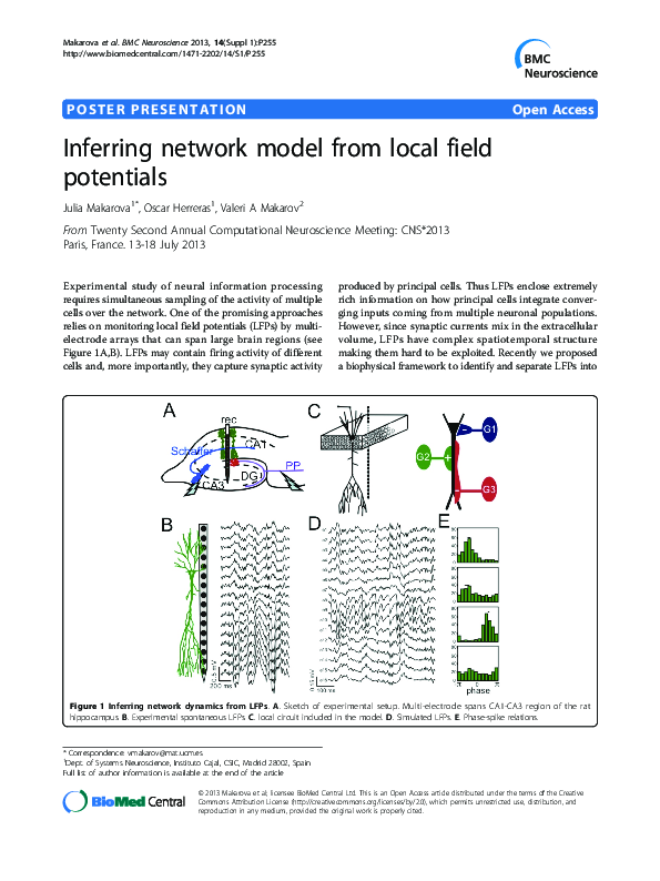 (PDF) Inferring network model from local field potentials
