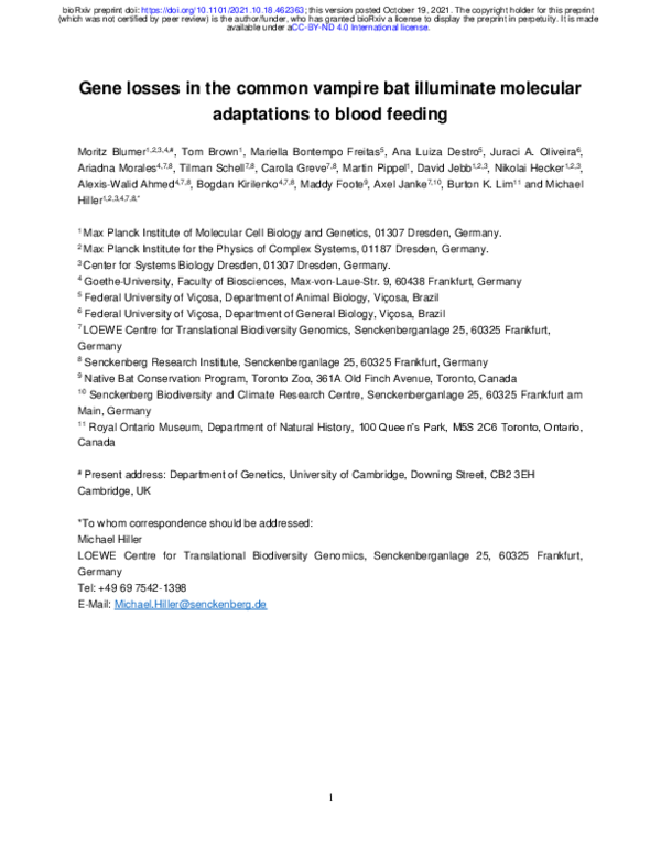 (PDF) Gene losses in the common vampire bat illuminate molecular ...