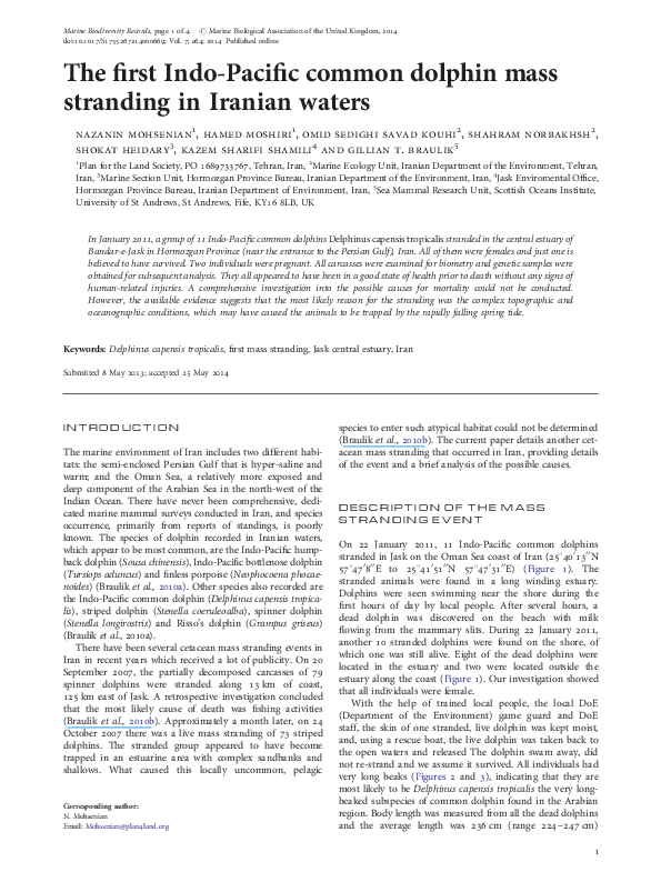 (PDF) The first Indo-Pacific common dolphin mass stranding in Iranian ...