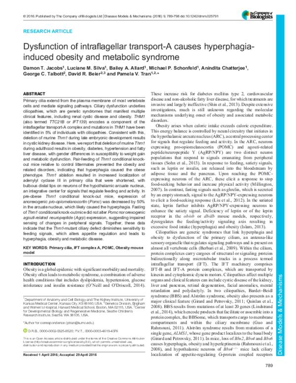 (PDF) Dysfunction of intraflagellar transport-A causes hyperphagia ...