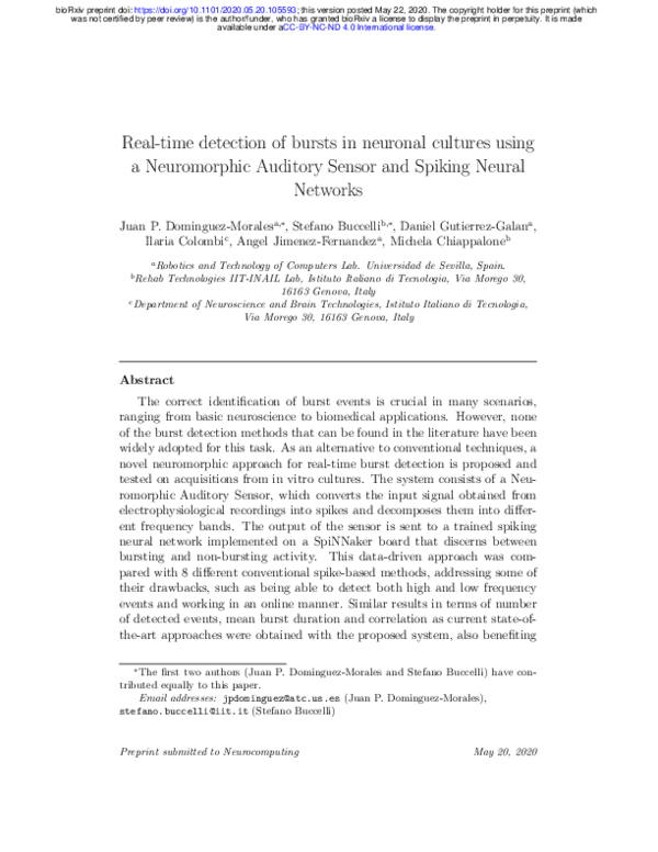 (PDF) Real-time Burst Detection in Neuronal Cultures Using Neuromorphic Sensors