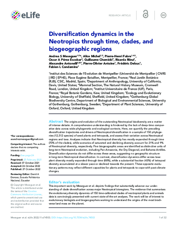 (PDF) Diversification dynamics in the Neotropics through time, clades ...