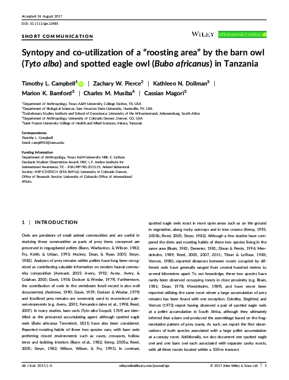 (PDF) Syntopy and co-utilization of a “roosting area” by the barn owl ...