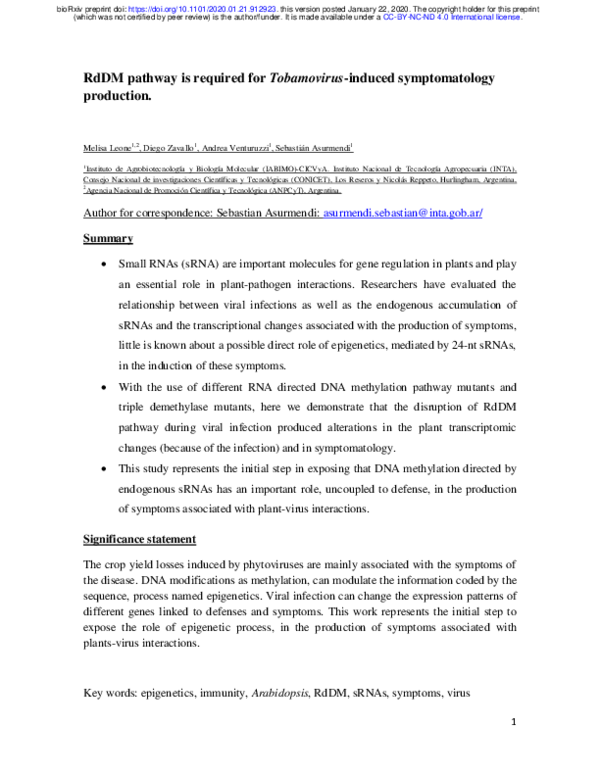 (PDF) RdDM pathway is required for Tobamovirus-induced symptomatology ...