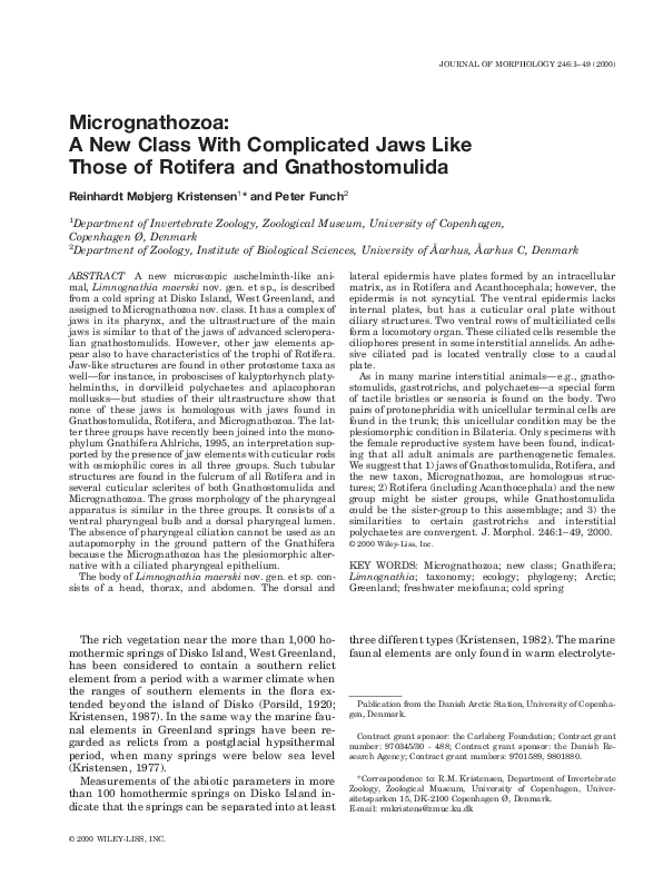 (PDF) Micrognathozoa: A new class with complicated jaws like those of ...