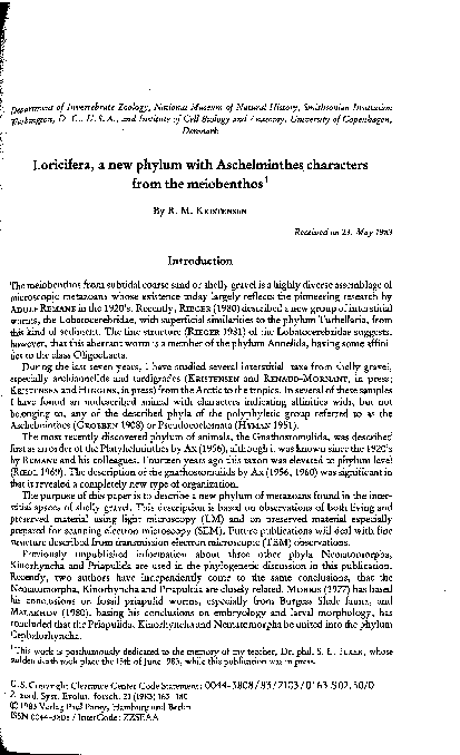 (PDF) Loricifera, a new phylum with Aschelminthes characters from the ...