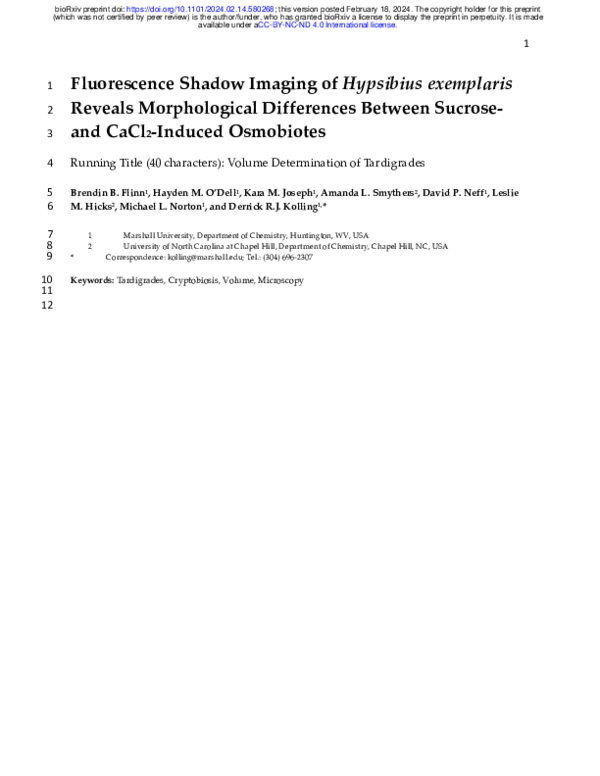 (PDF) Fluorescence Shadow Imaging of Hypsibius exemplaris Reveals Morphological Differences ...
