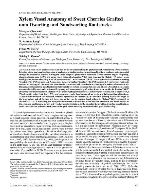 (PDF) Xylem Vessel Anatomy of Sweet Cherries Grafted onto Dwarfing and Nondwarfing Rootstocks