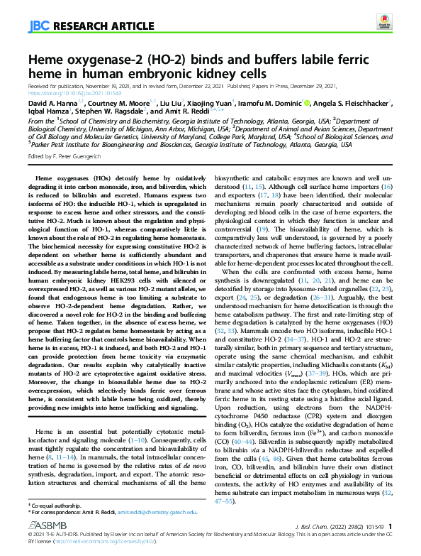 (PDF) Heme oxygenase-2 (HO-2) binds and buffers labile ferric heme in ...