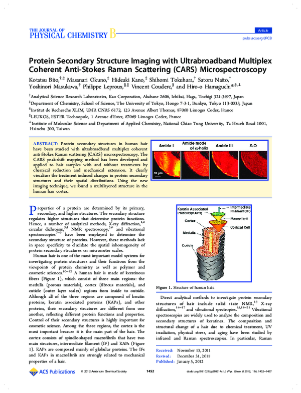 (PDF) Protein Secondary Structure Imaging with Ultrabroadband Multiplex ...