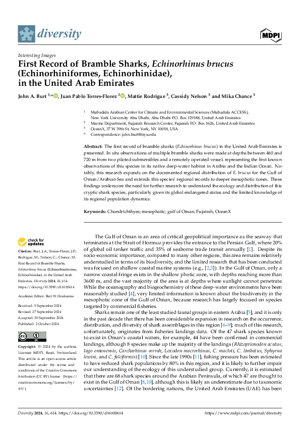 (PDF) First Record of Bramble Sharks, Echinorhinus brucus ...