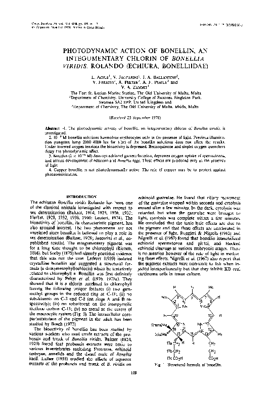 (PDF) Photodynamic action of bonellin, an integumentary chlorin of Bonellia viridis, Rolando ...