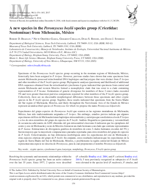 (PDF) A new species in the Peromyscus boylii species group (Cricetidae ...