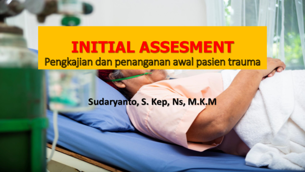 (PDF) INITIAL ASSESMENT