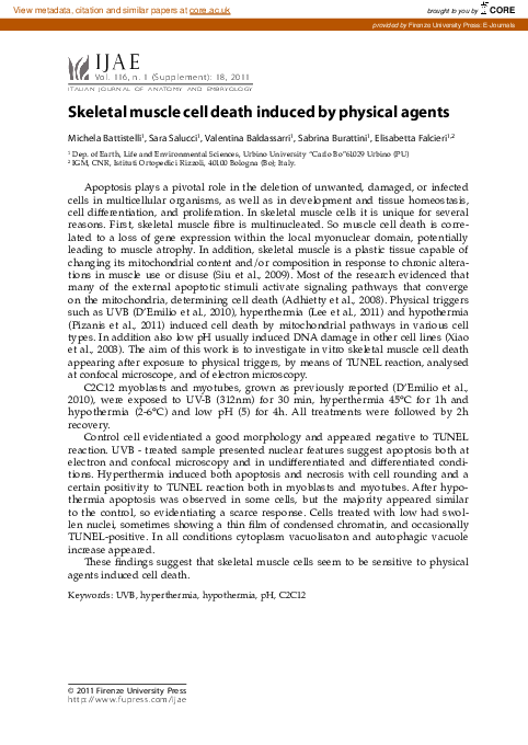 (PDF) Skeletal muscle cell death induced by physical agents