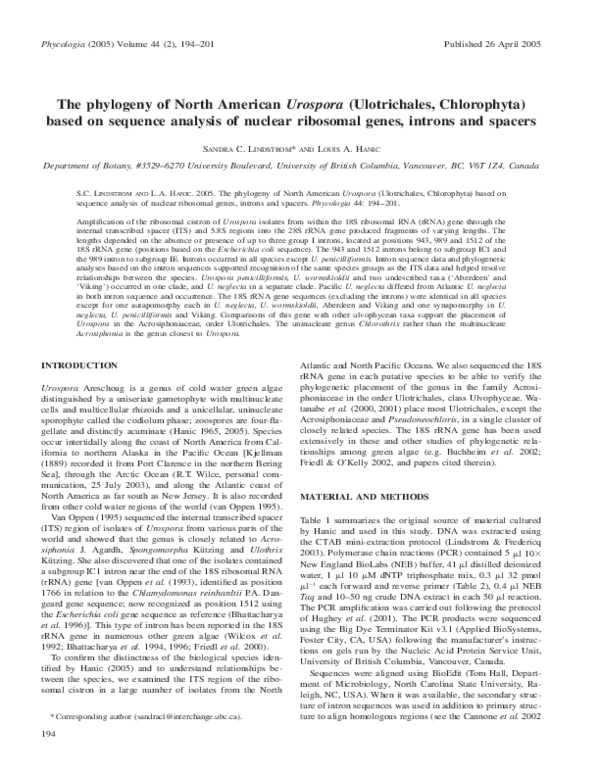 (PDF) The phylogeny of North American Urospora (Ulotrichales ...