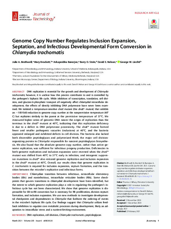 (PDF) Genome Copy Number Regulates Inclusion Expansion, Septation, and ...