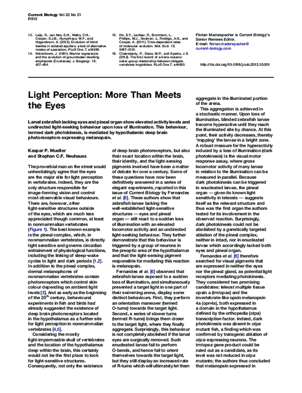 (PDF) Light Perception: More Than Meets the Eyes