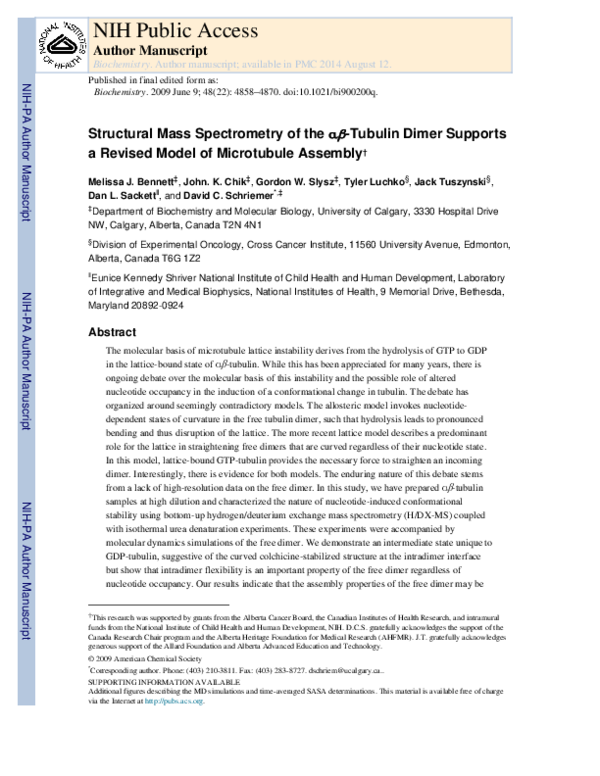 (PDF) Structural Mass Spectrometry of the αβ-Tubulin Dimer Supports a ...