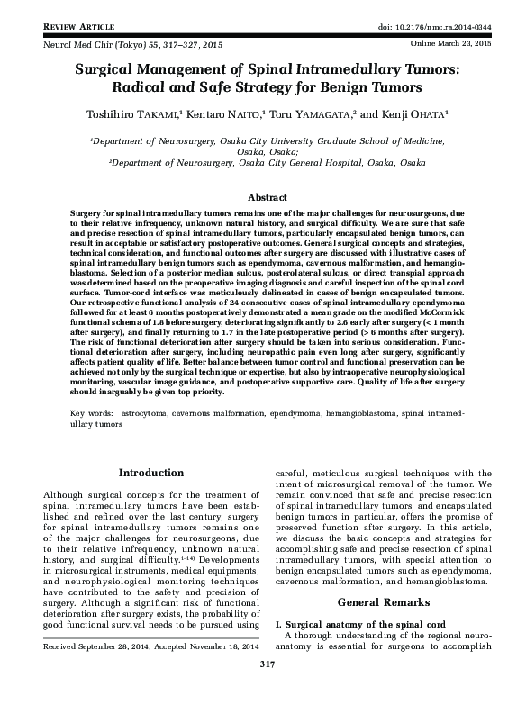 (PDF) Spinal Intramedullary Tumors: 10-Year Surgical Outcomes