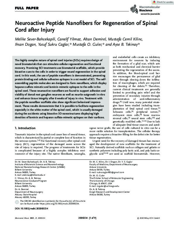 (PDF) Neuroactive Peptide Nanofibers for Regeneration of Spinal Cord ...
