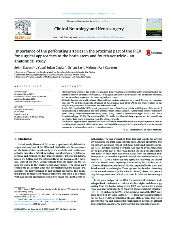 (PDF) Importance of the perforating arteries in the proximal part of ...