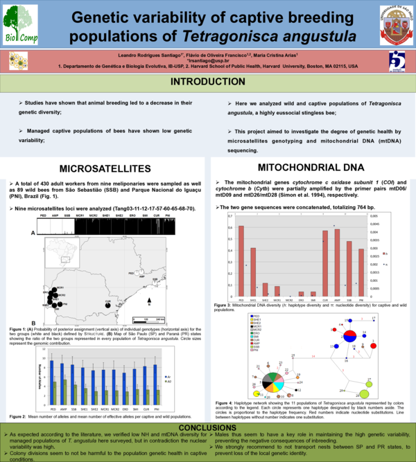 (PDF) Genetic variability of captive breeding populations of Tetragonisca angustula | Leandro ...