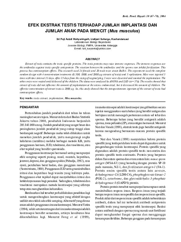 (PDF) EFEK EKSTRAK TESTIS TERHADAP JUMLAH IMPLANTASI DAN JUMLAH ANAK ...