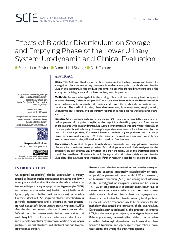 (PDF) Effects Of Bladder Diverticulum On Storage And Extraction Phase Of The Lower Urıinary ...