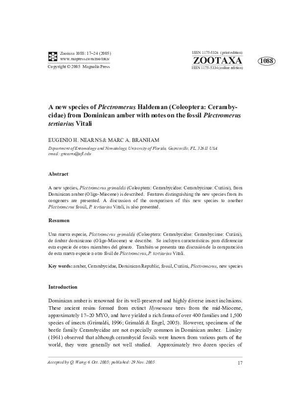 (PDF) A new species of Plectromerus Haldeman (Coleoptera: Cerambycidae ...