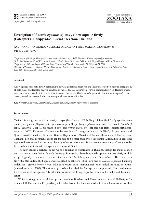 (PDF) Description of Luciola aquatilis sp. nov., a new aquatic firefly ...