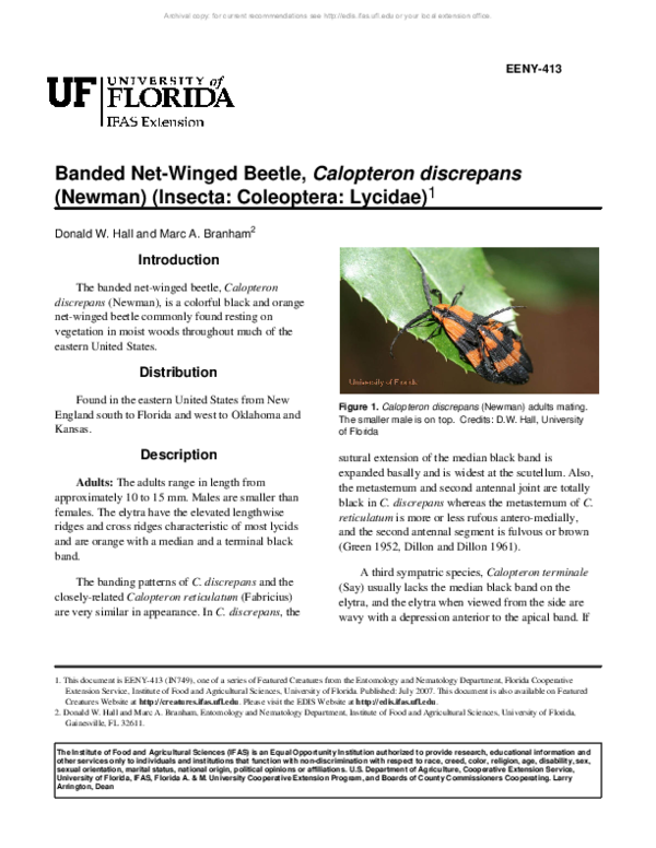 (PDF) Banded Net-Winged Beetle, Calopteron discrepans (Newman) (Insecta ...