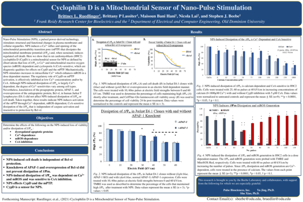 (PDF) Cyclophilin D Is a Sensor of Nano-Pulse Stimulation | STEPHEN ...