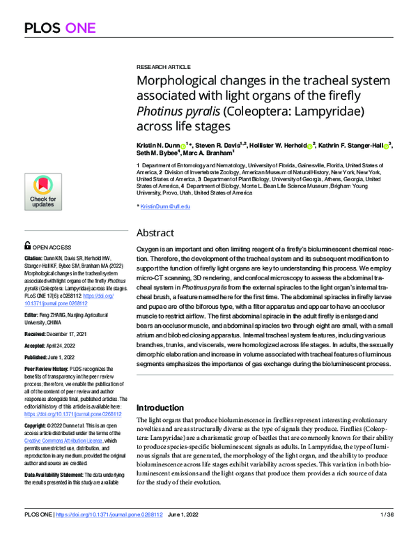 (PDF) Morphological changes in the tracheal system associated with ...