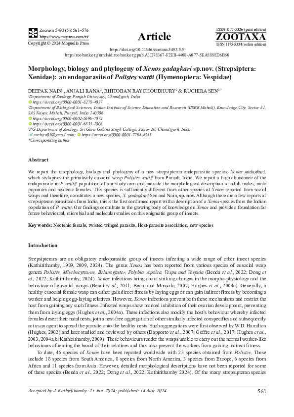 (PDF) Morphology, biology and phylogeny of Xenos gadagkari sp.nov ...