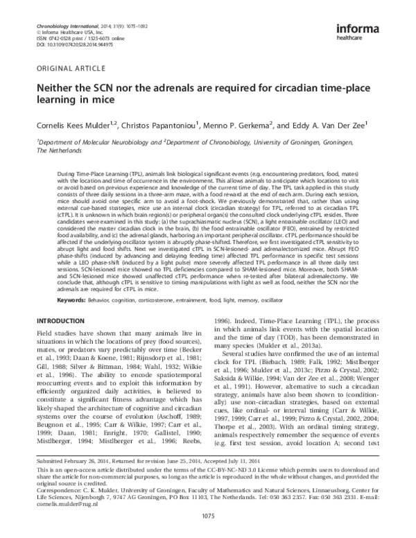 (PDF) Neither the SCN nor the adrenals are required for circadian time ...