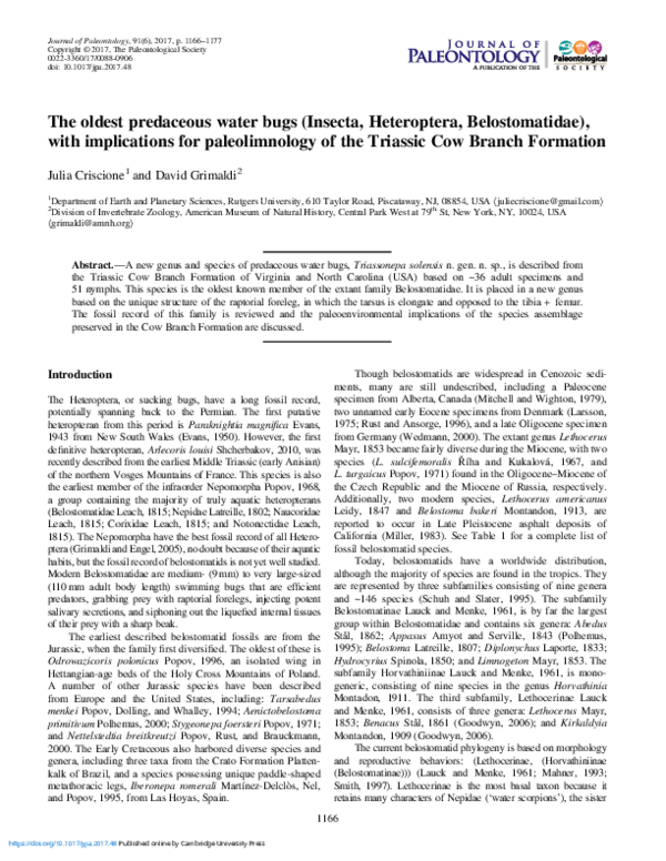(PDF) The oldest predaceous water bugs (Insecta, Heteroptera ...
