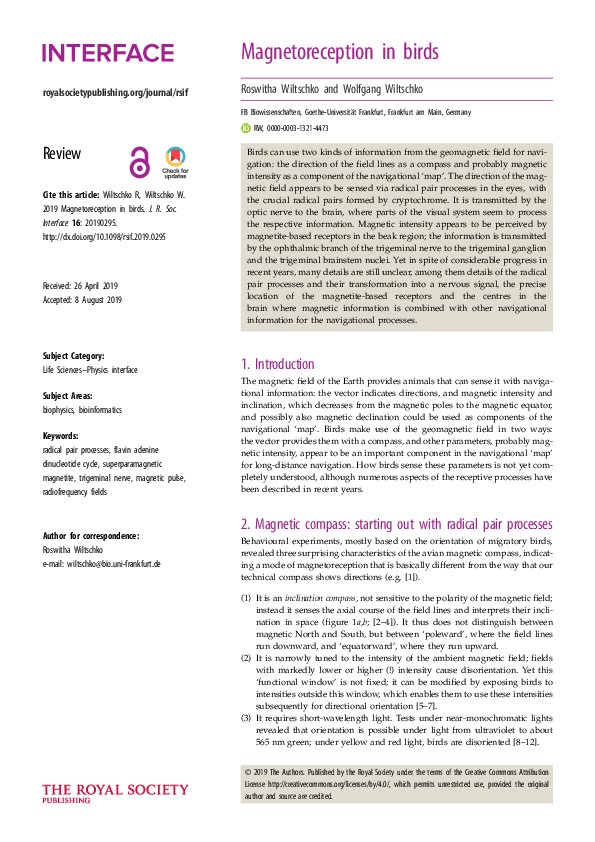 (PDF) Magnetoreception in birds