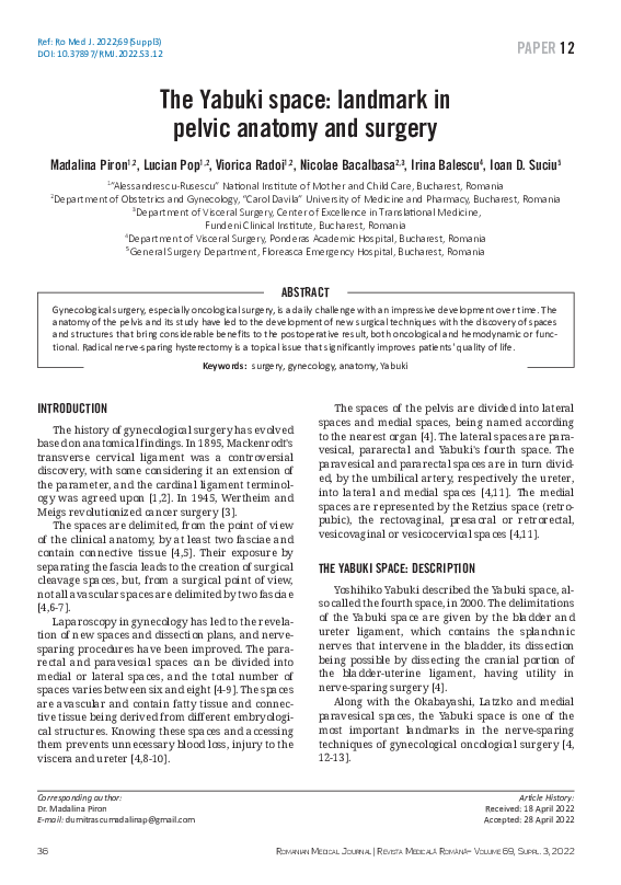 (PDF) The Yabuki space: landmark in pelvic anatomy and surgery