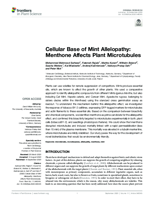(PDF) Cellular Base of Mint Allelopathy: Menthone Affects Plant ...